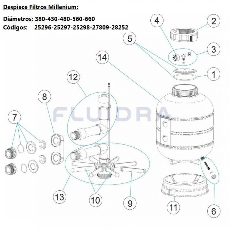 Repuestos (Despiece) del Filtro Millenium Lateral de AstralPool